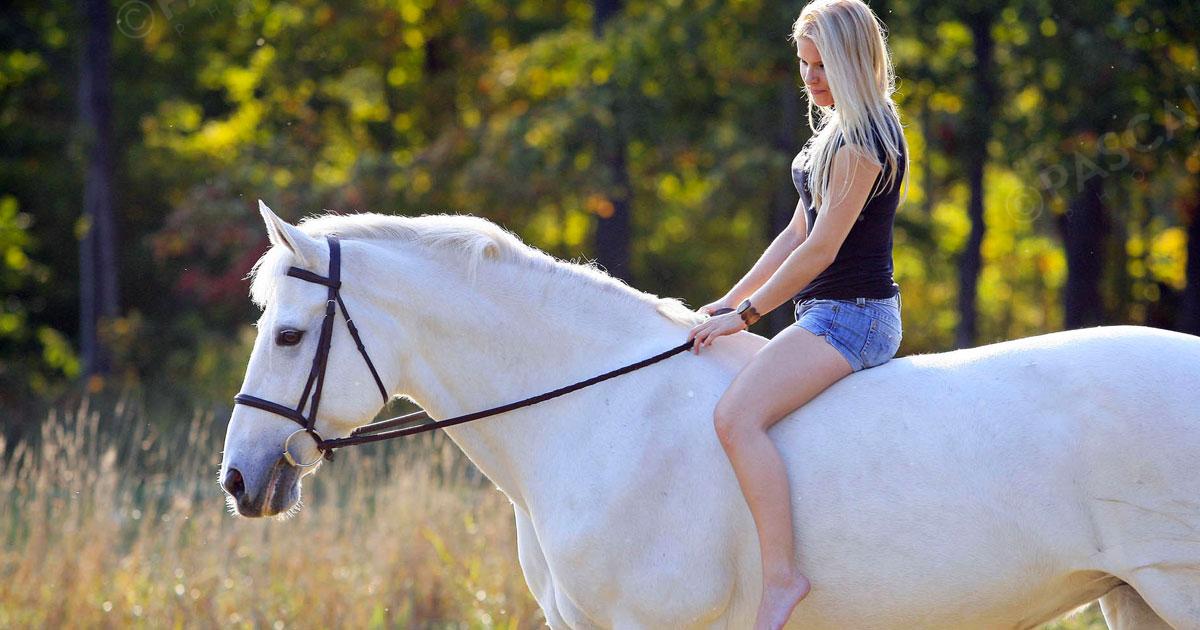 Chevaux cavaliers | Pascal Ratthé Photographe